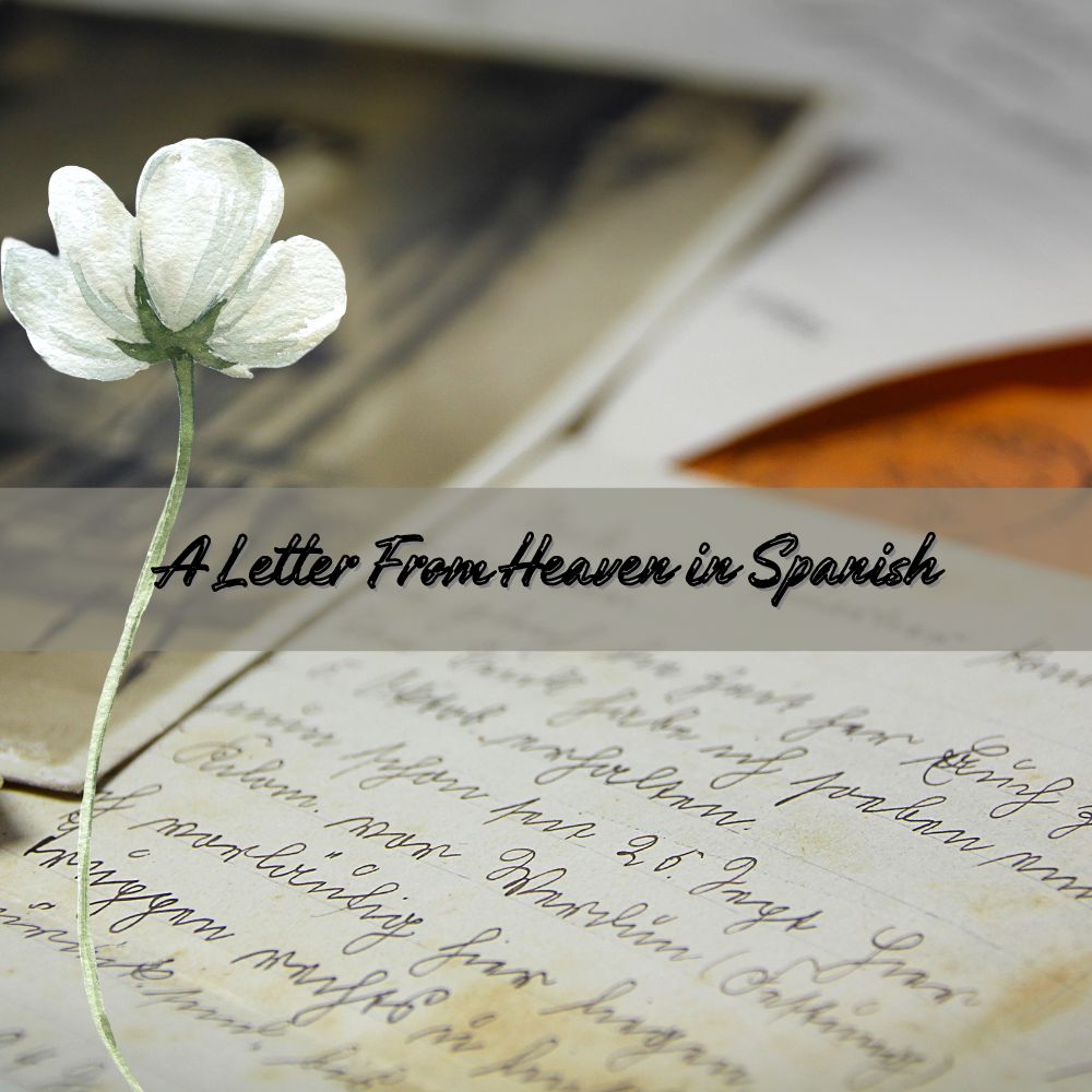 A Letter From Heaven in Spanish - Fluent translation in English and ...