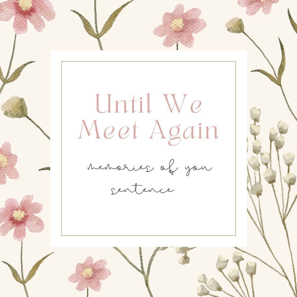 Top 20+ Until We Meet Again Memories Of You Sentence - Memory-Gift™