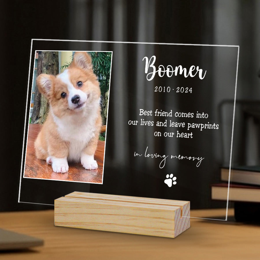 Personalized Dog Memorial Gifts | Best Friend Comes Into Our Lives ...